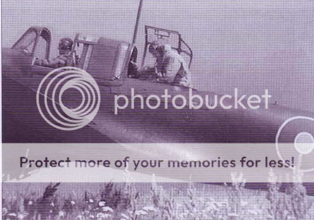 New mould 1/48 Il-2 coming from Tamiya... - Aircraft WWII ...