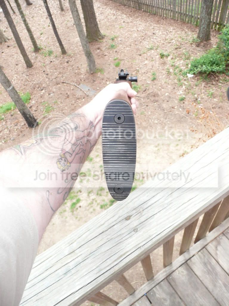 10/22's and Appleseed | Rimfire Central Firearm Forum